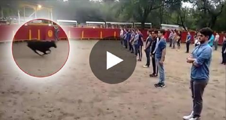 Studenti fanno un esperimento per dimostrare che un toro attacca solo ...