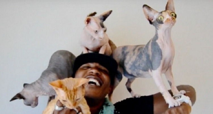 Famoso rapper racconta:"Io detestavo i gatti, non ne avevo motivo ...