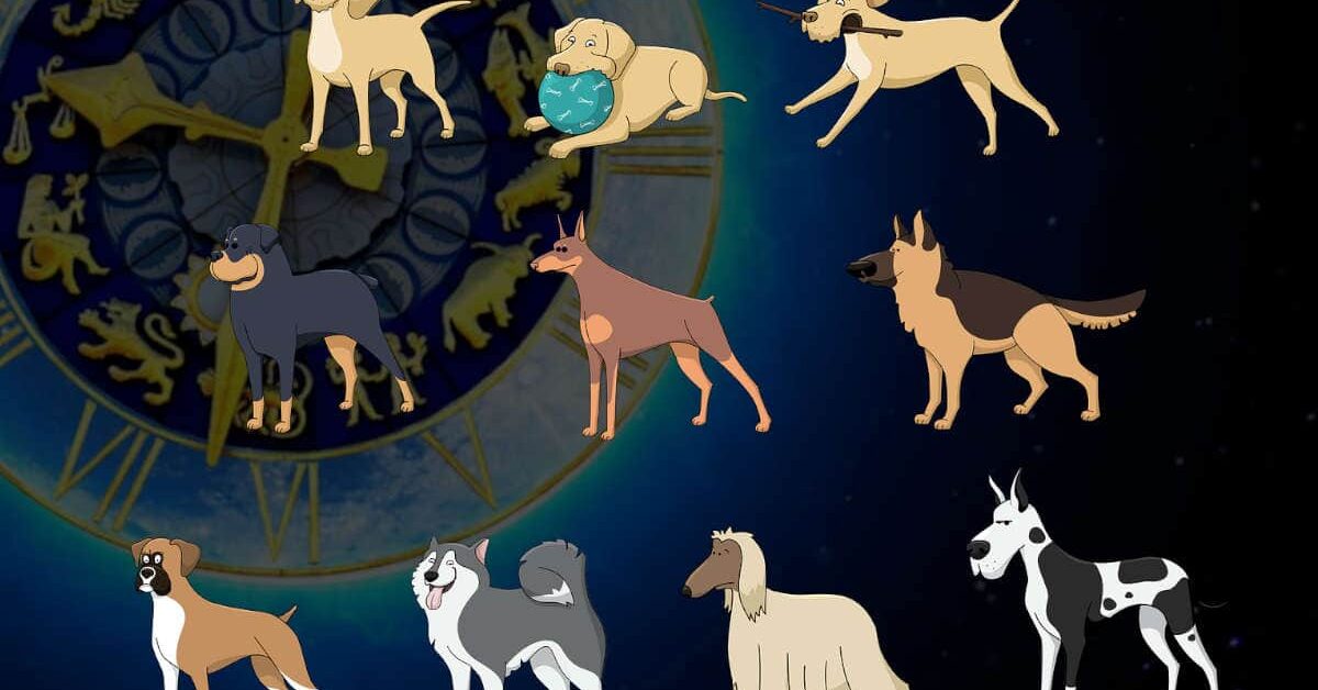 Dimmi Che Segno Sei E Ti Dirò Qual'è Il Tuo Cane Ideale