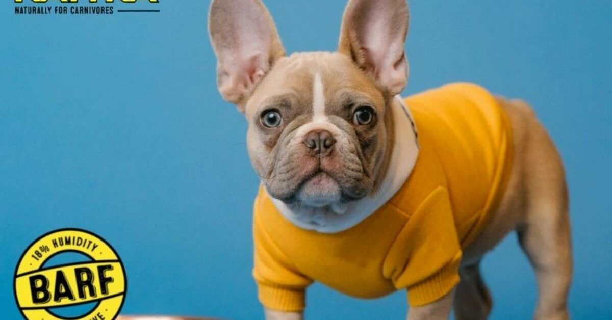 Natyka: la migliore alternativa alla dieta BARF