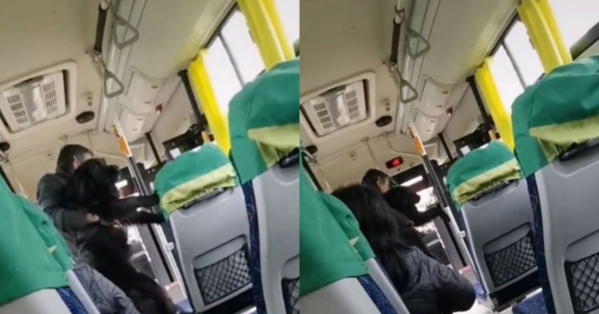 L'autista ha preso il cane senzatetto e l'ha messo su un autobus che lo ha riportato dov'era ...