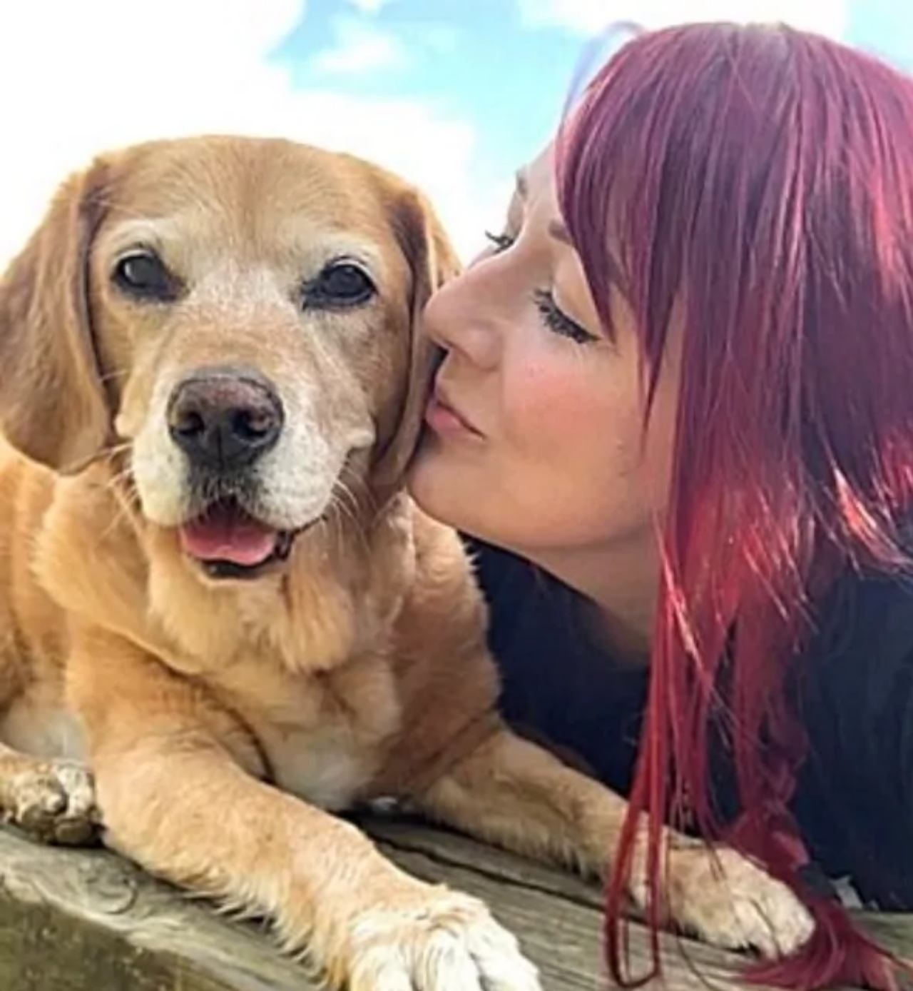 Labrador realizza una lista di desideri con la sua mamma data la sua ...