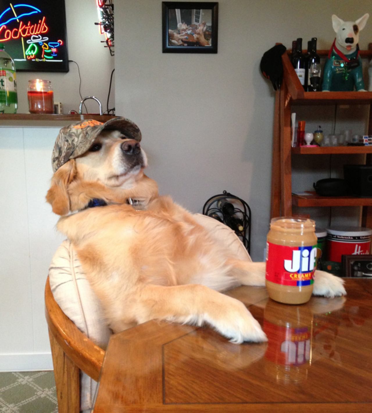 Bailey, il Golden Retriever che si finge umano