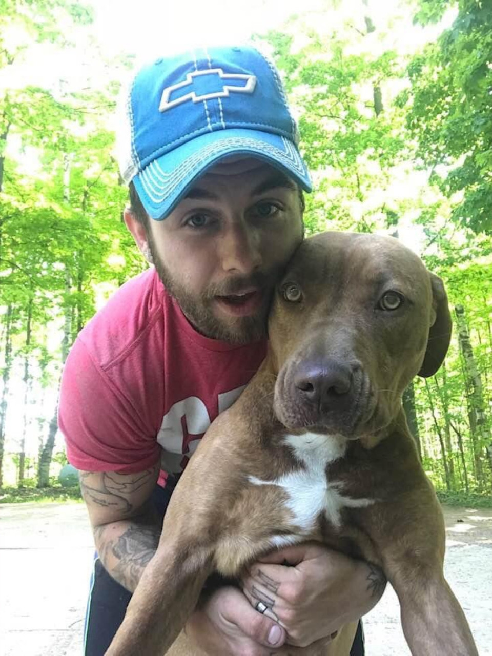 Rubano l'auto e anche il cane che si trovava dentro, dopo giorni il ...