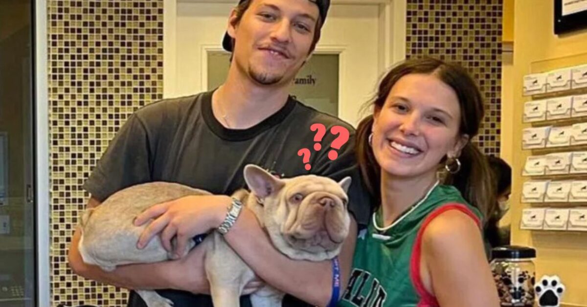 Millie Bobby Brown rivela il numero dei suoi cani, una cifra assurda